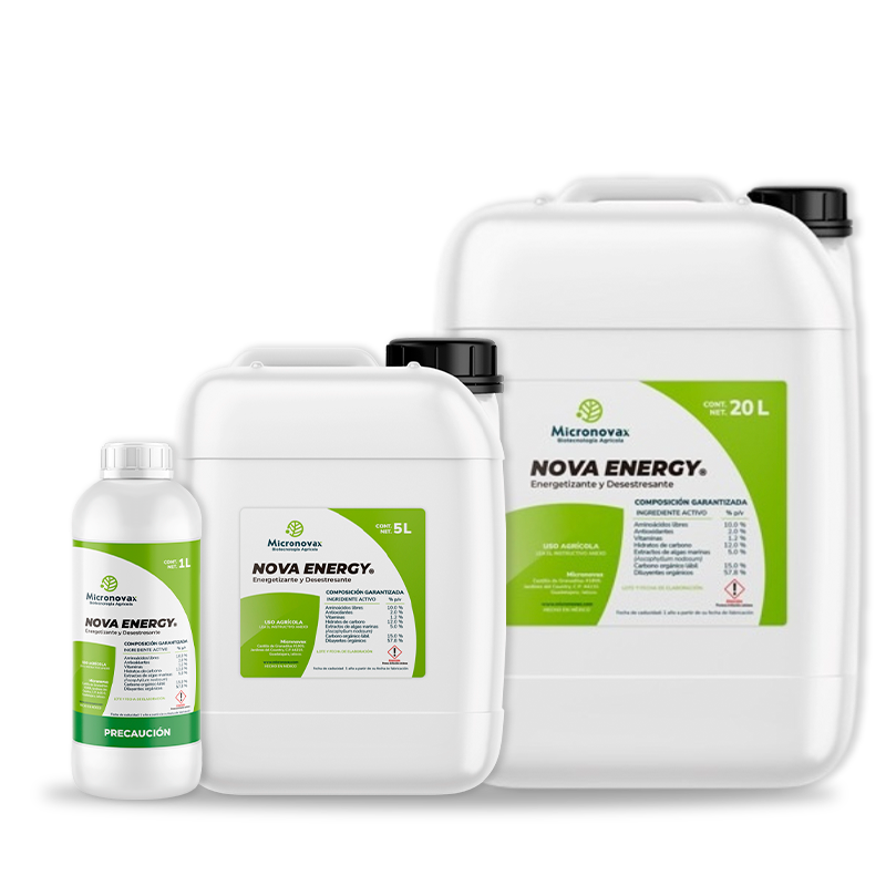 Nova Root ® – Micronovax